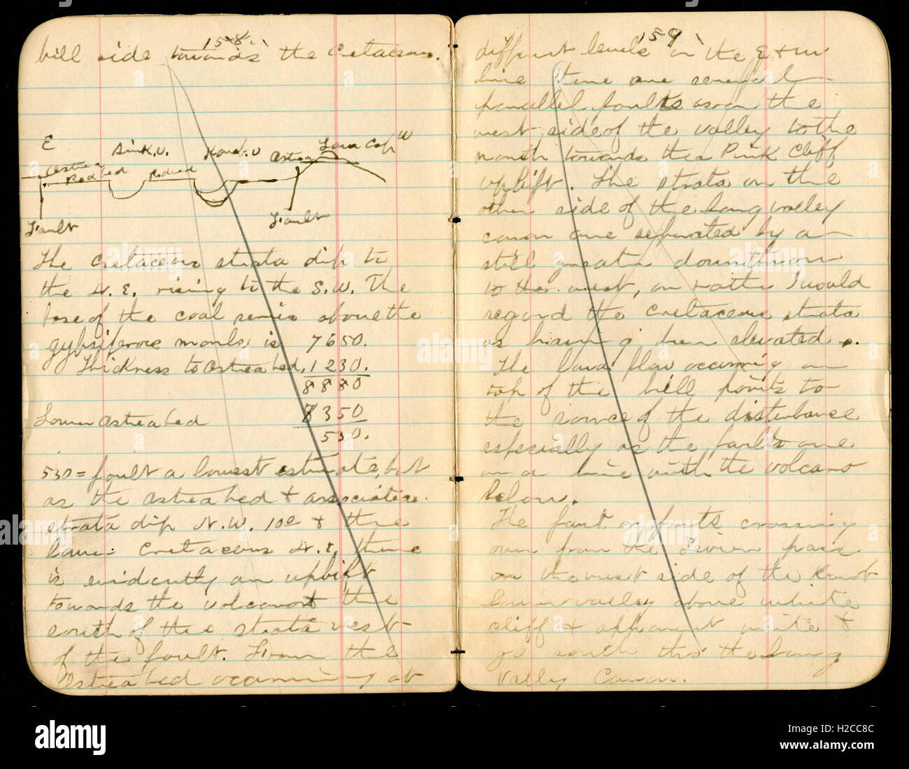 This collection of field notes documents geological, botanical, and ...