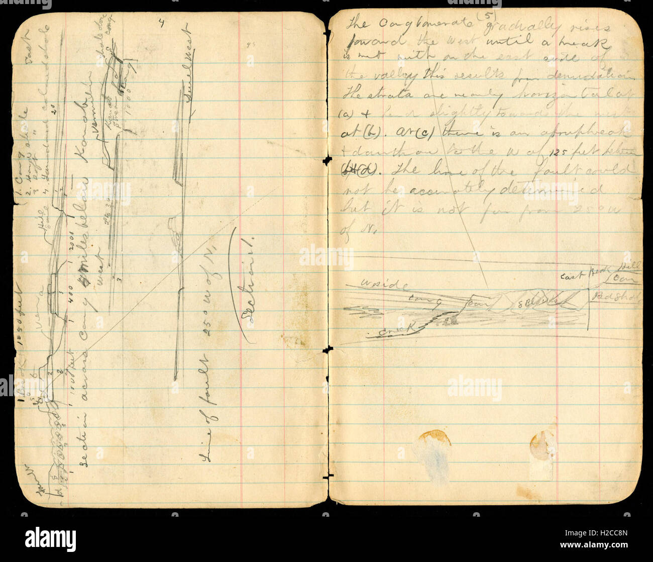 Field notes - Arizona, 1879, 1930, includes notes by Charles Elmer ...