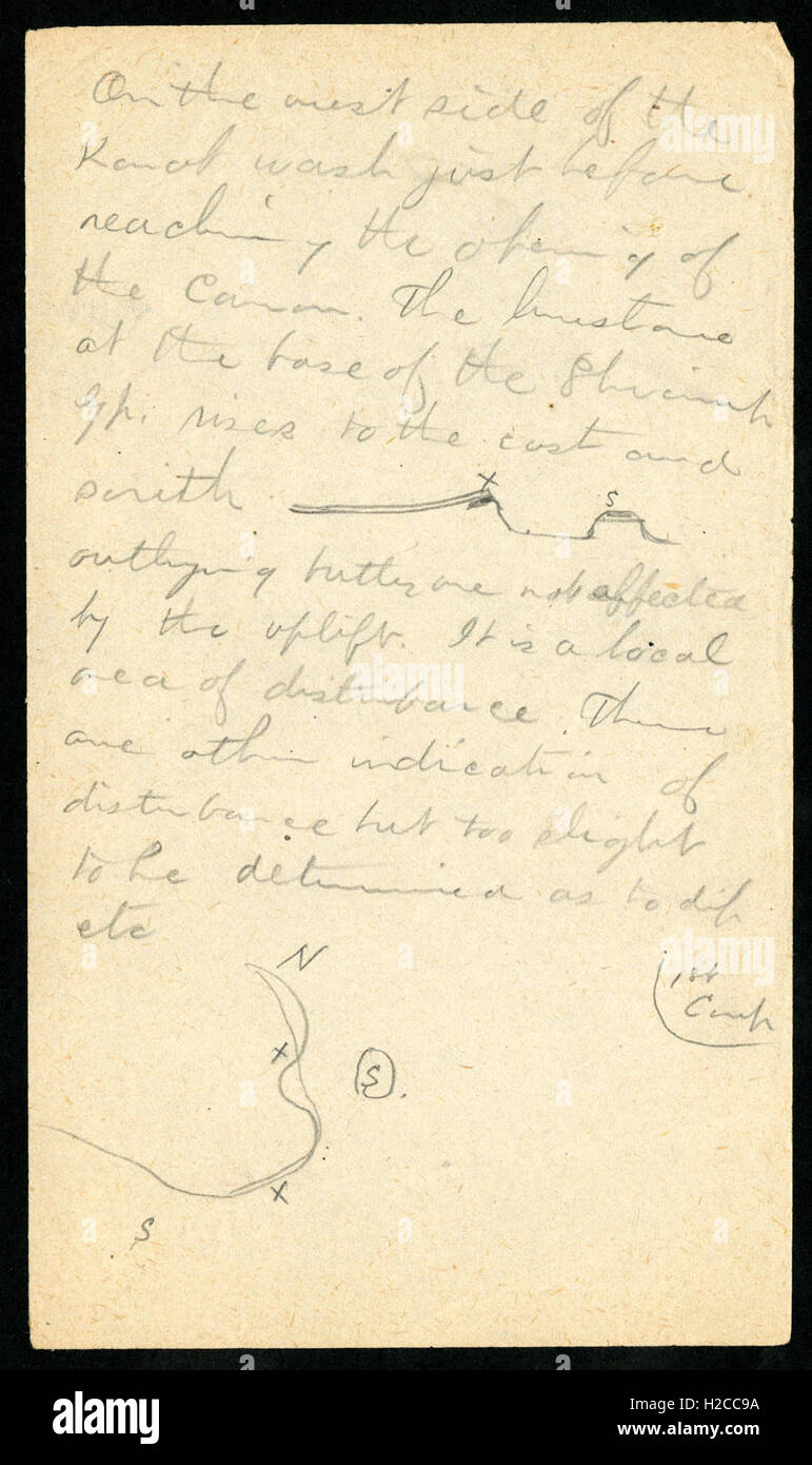 These field notes document geological and paleontological observations ...