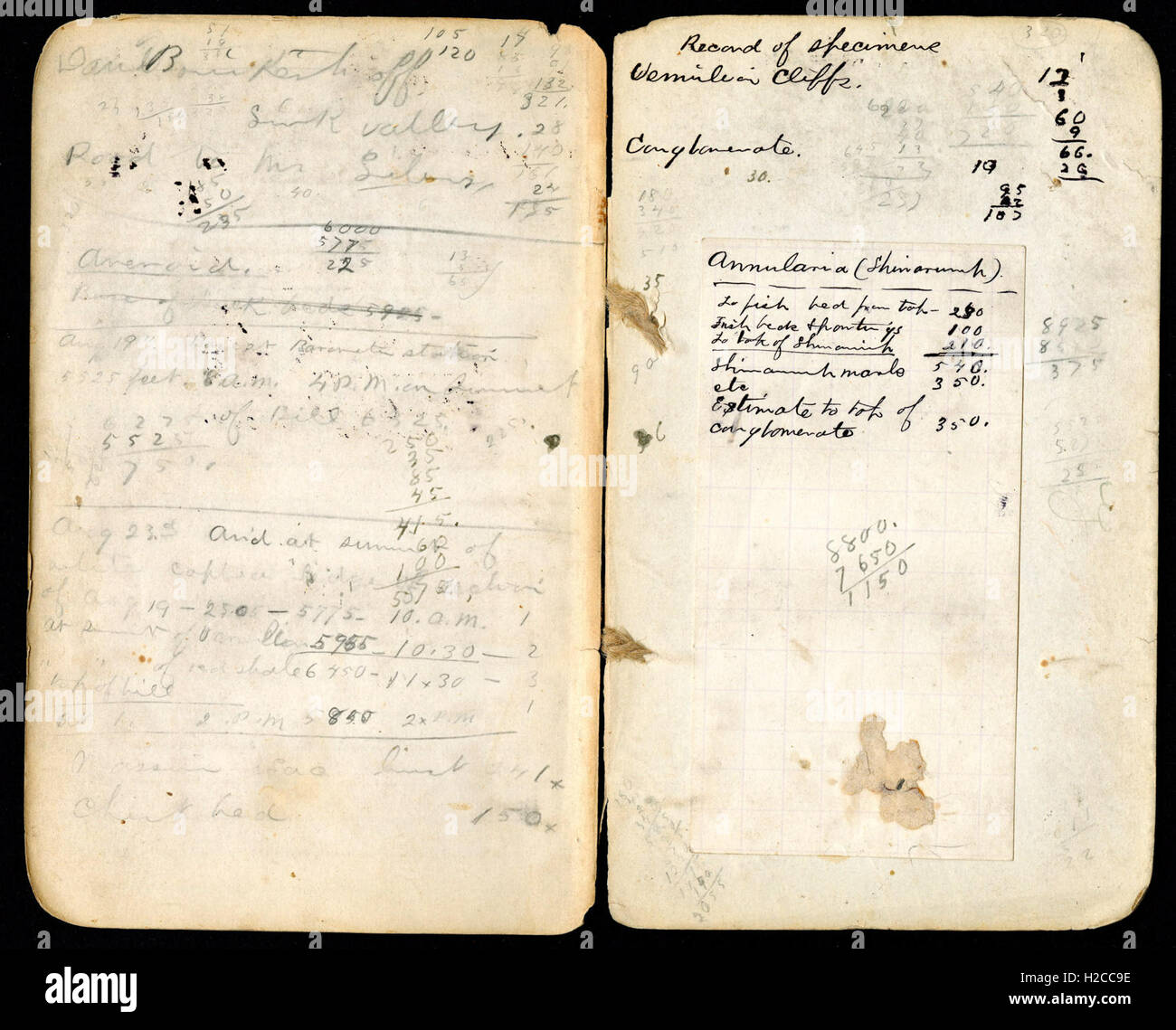 Field notes documenting geological and natural observations in Arizona ...