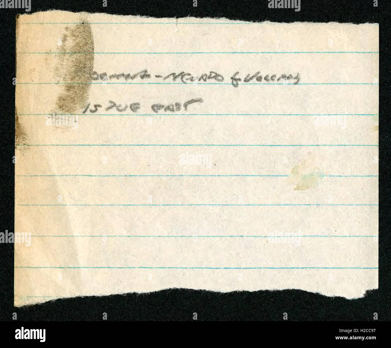 These field notes document the observations and findings made during an ...
