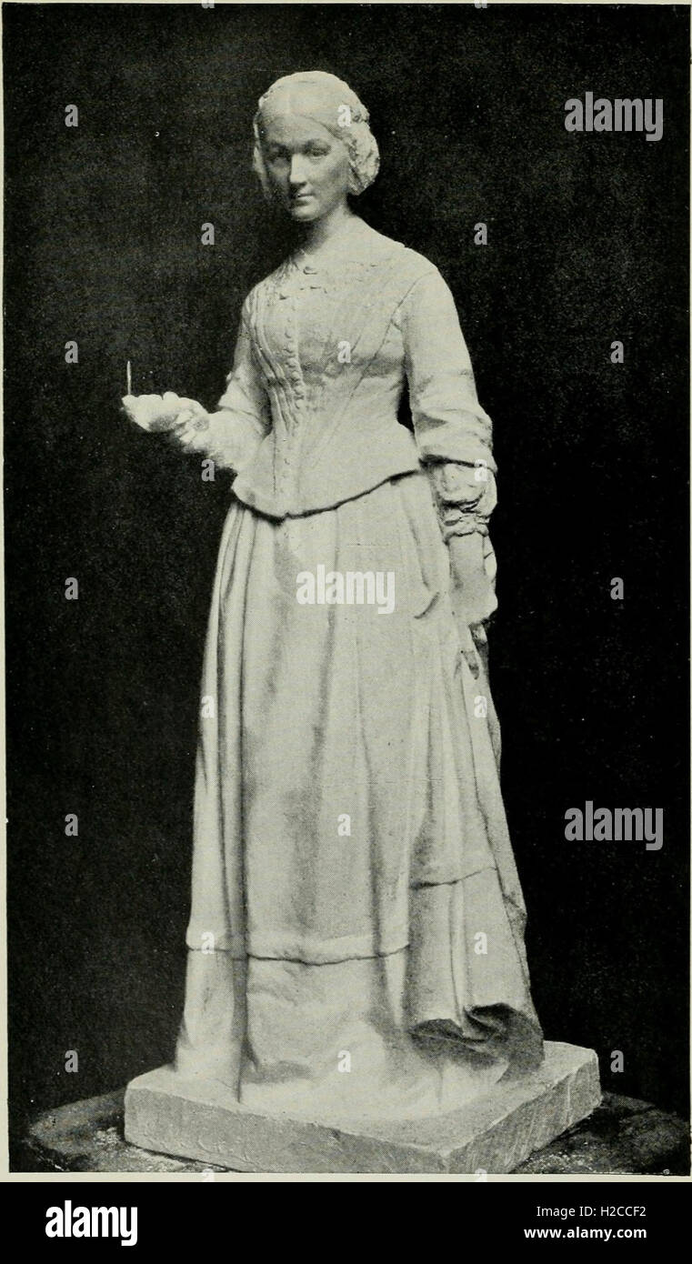 This biography of Florence Nightingale explores her life and ...