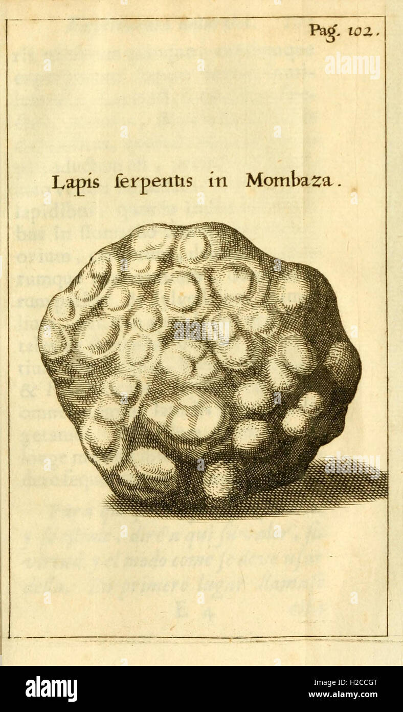 This work by Francesco Redi presents experiments on natural phenomena ...