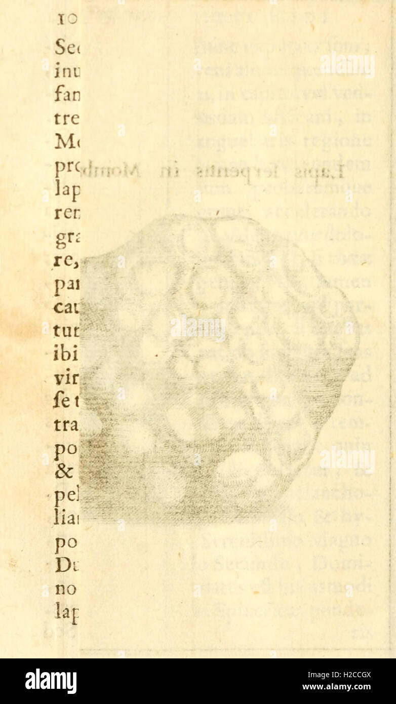 A scientific work by Francesco Redi, detailing various experiments on ...