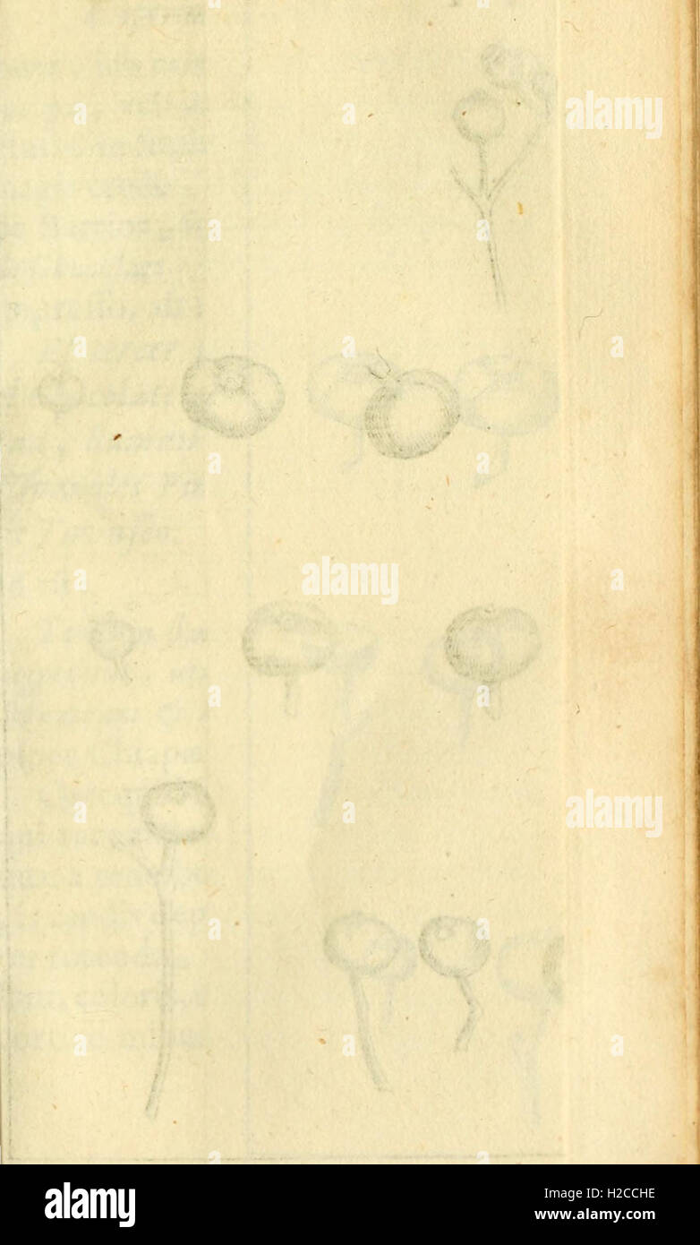 This work by Francesco Redi details various experiments in natural ...