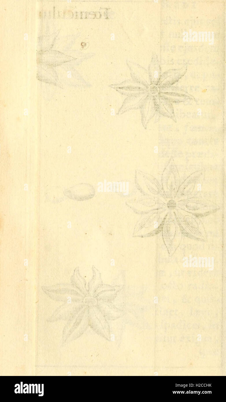 This scientific work by Francesco Redi discusses various natural ...