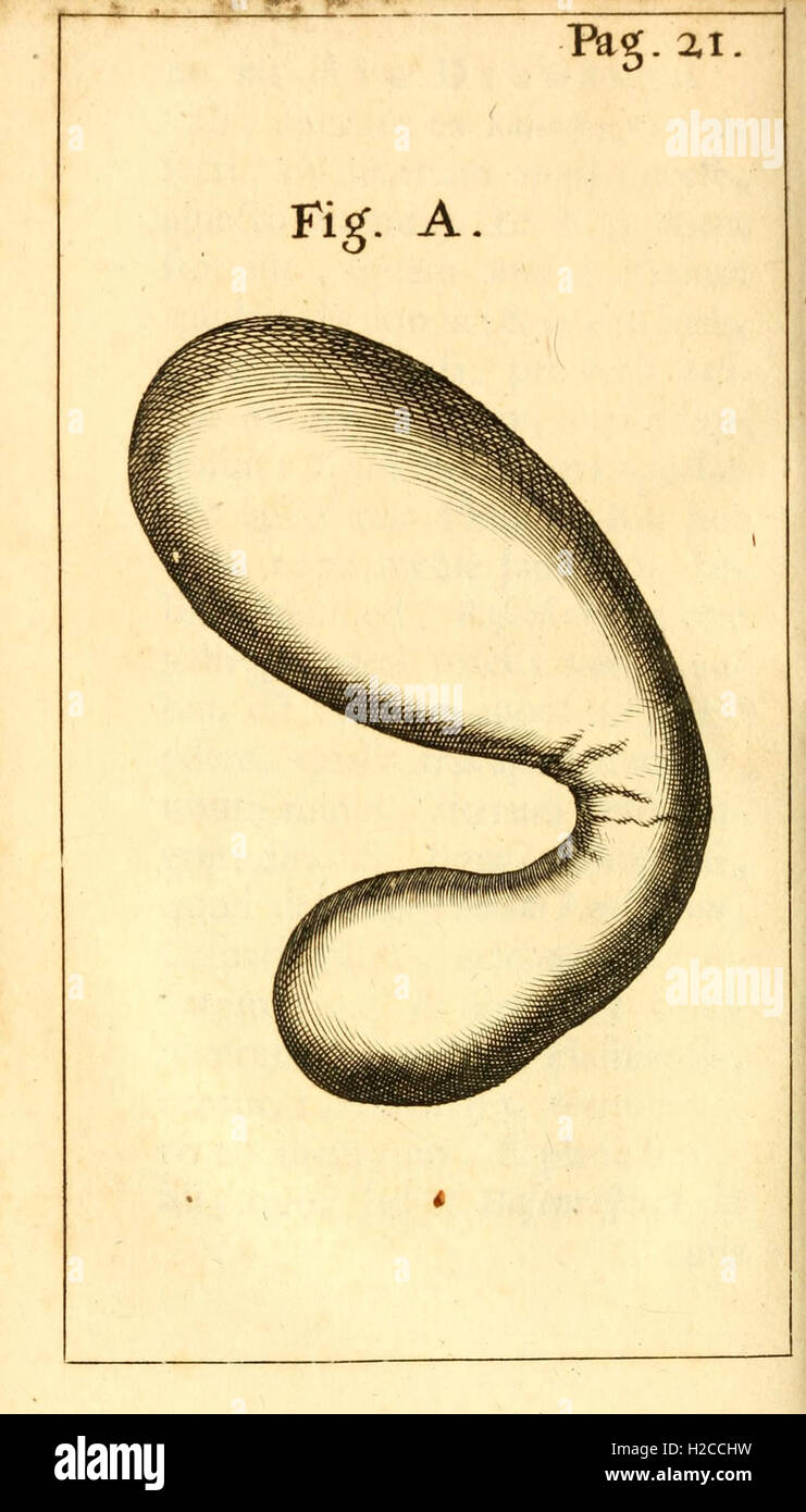 This work by Francesco Redi presents his experiments on natural ...