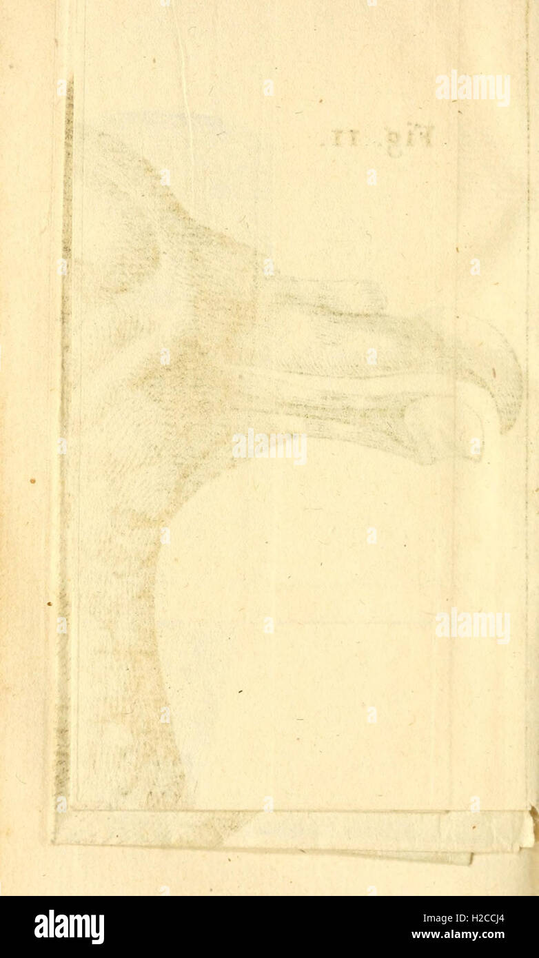 Francesco Redi's experiments on natural phenomena contributed ...