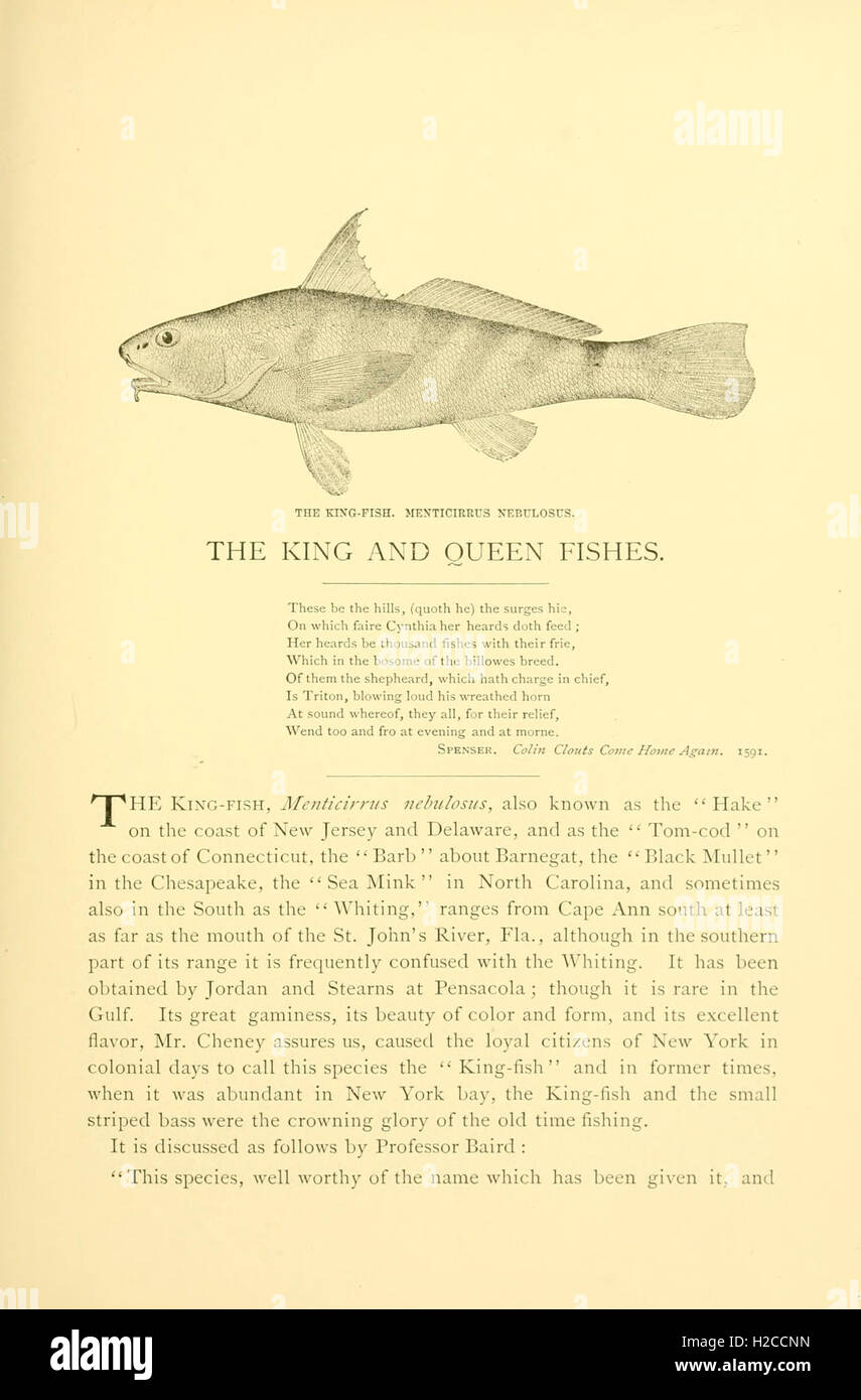 American fishes (Page (123), Figure- King-fish Stock Photo - Alamy