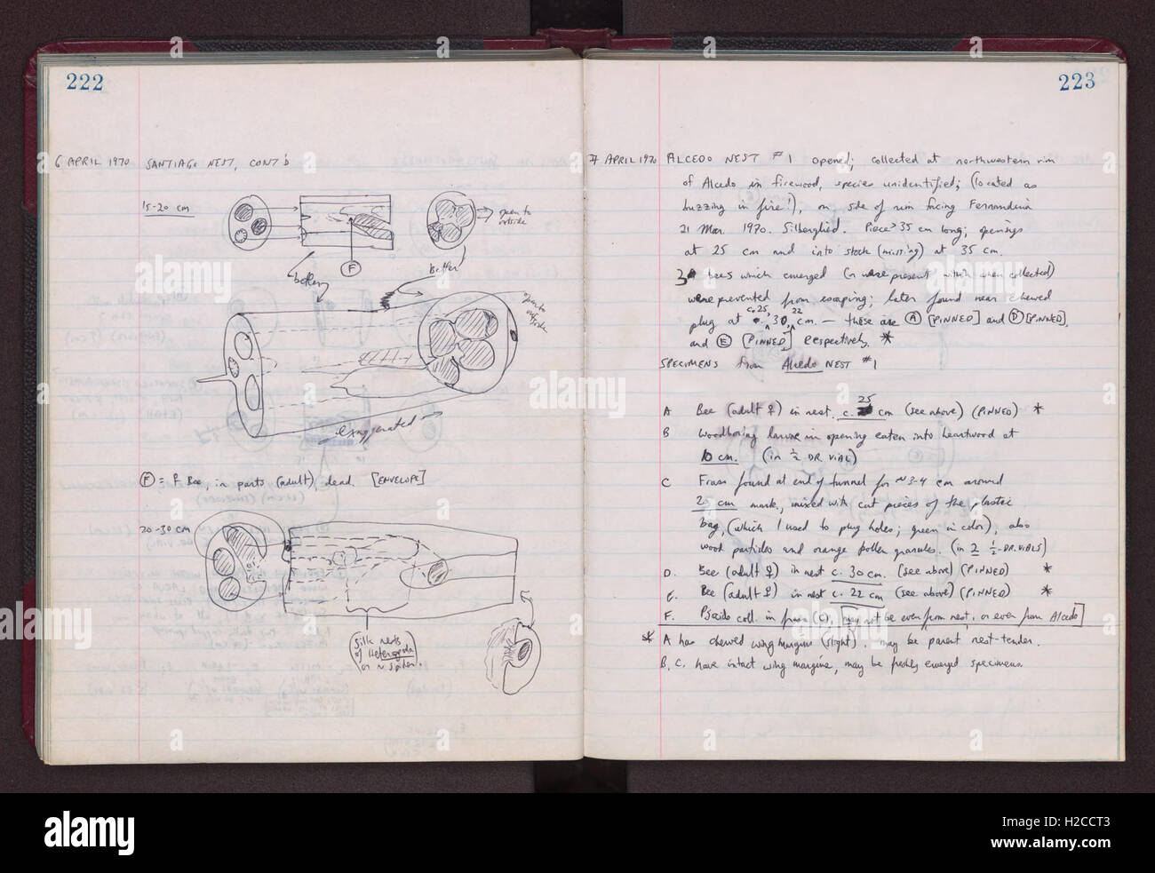 Field notes documenting the unique biodiversity of the Galapagos ...