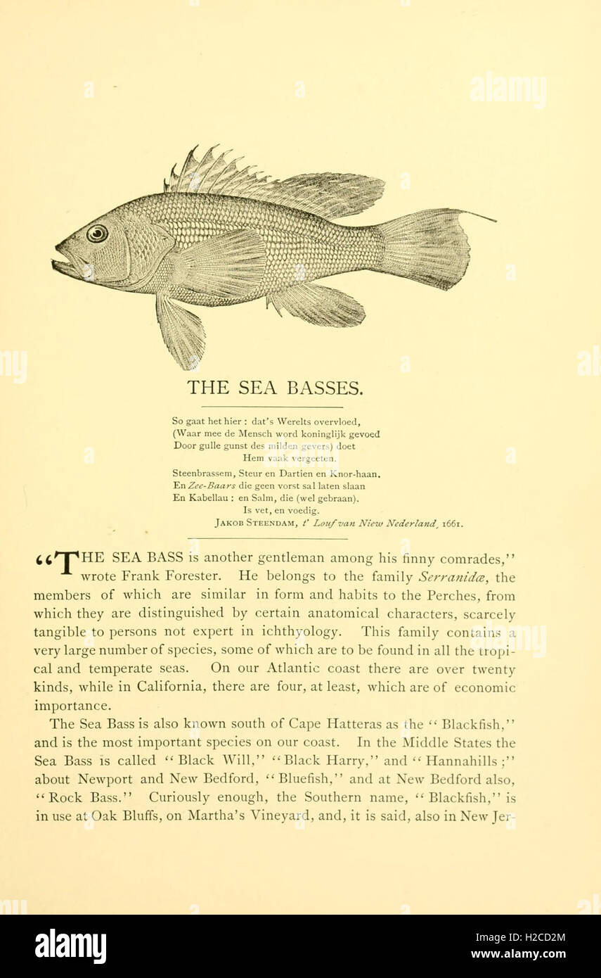 This section provides a detailed look at various American fish species ...