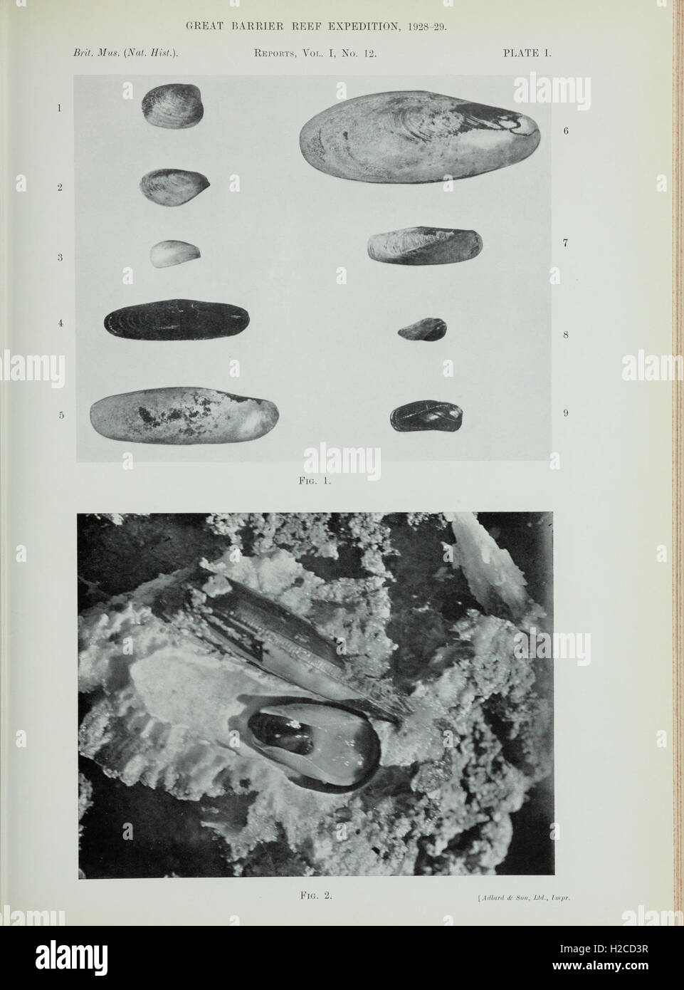 The Great Barrier Reef expedition of 1928-29 focused on studying the ...