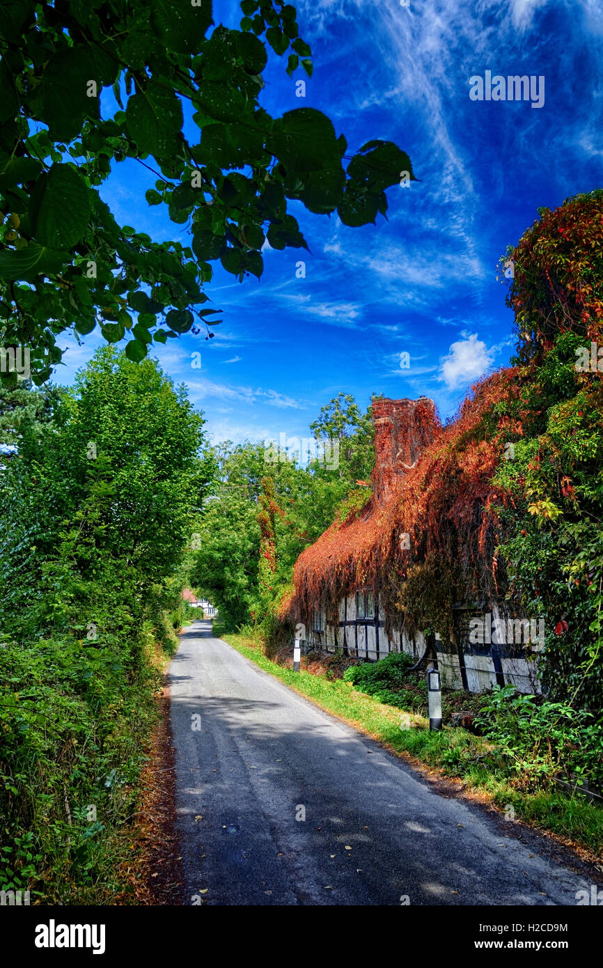 Thatched straw roof hi-res stock photography and images - Alamy