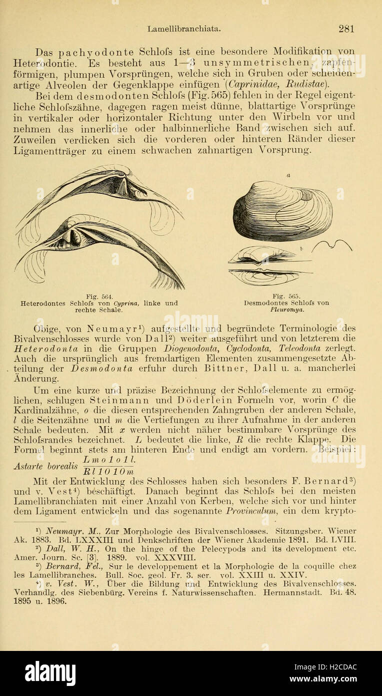 An introduction to the fundamentals of paleontology, focusing on the ...