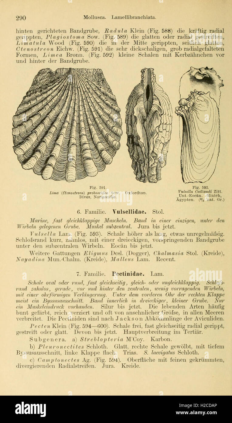 This page from 'Grundzüge der Paläontologie' offers an introduction to ...