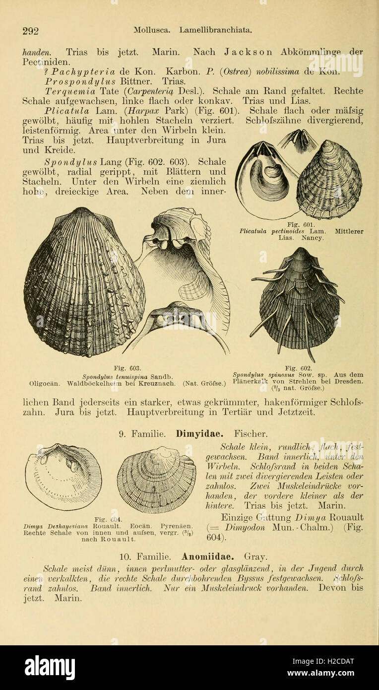 This work provides an introduction to paleontology, focusing on the ...