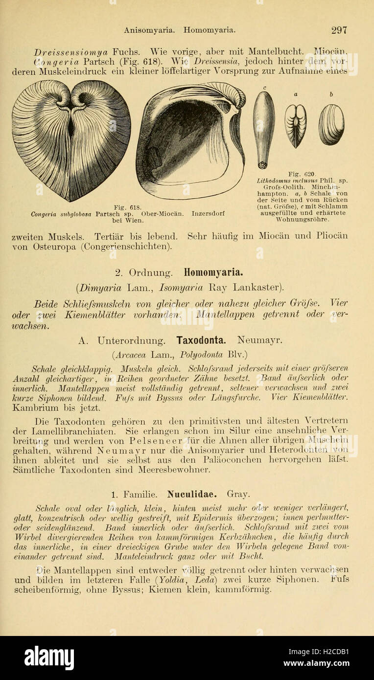 This foundational work on paleontology outlines key concepts and ...