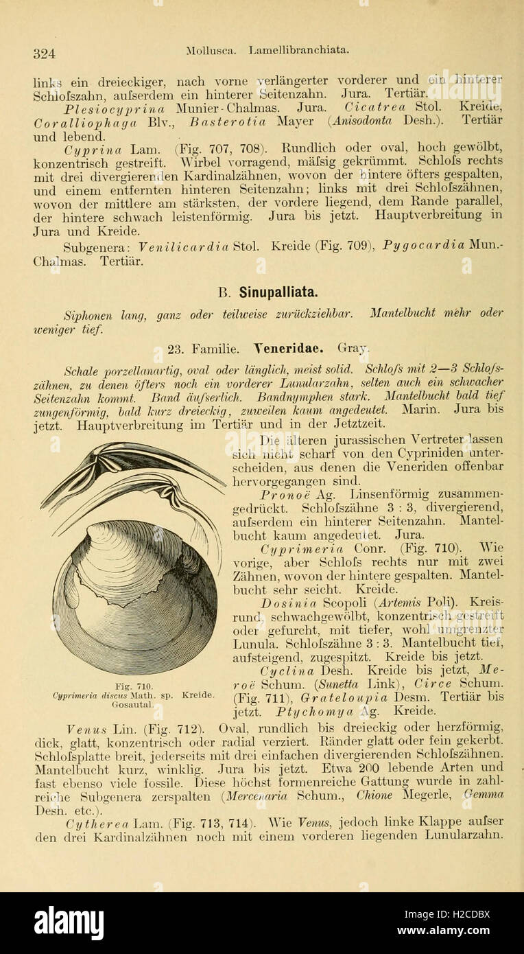 'Grundzüge der Paläontologie' provides an introduction to paleontology ...