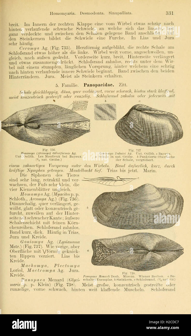 An introduction to the fundamental principles of paleontology, focusing ...