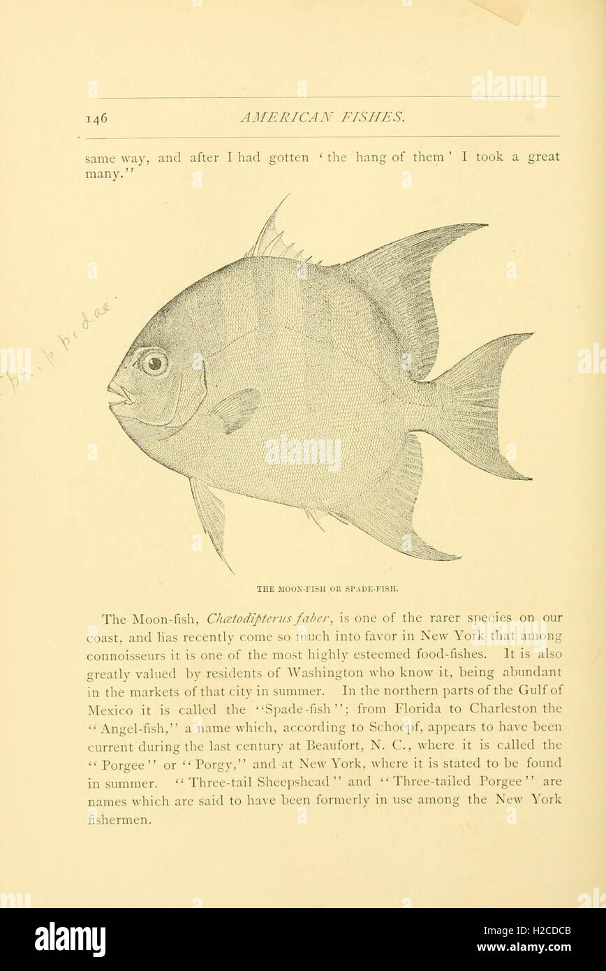 A study of American fish species, specifically focusing on the Moon ...