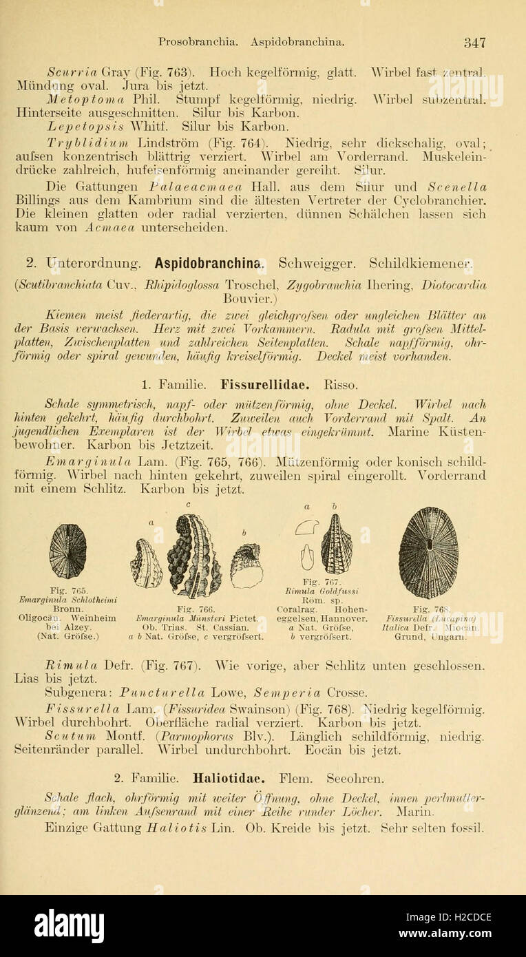This text outlines the fundamentals of paleontology, exploring the ...
