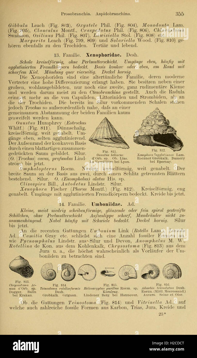 This foundational work in paleontology explores the basics of fossil ...