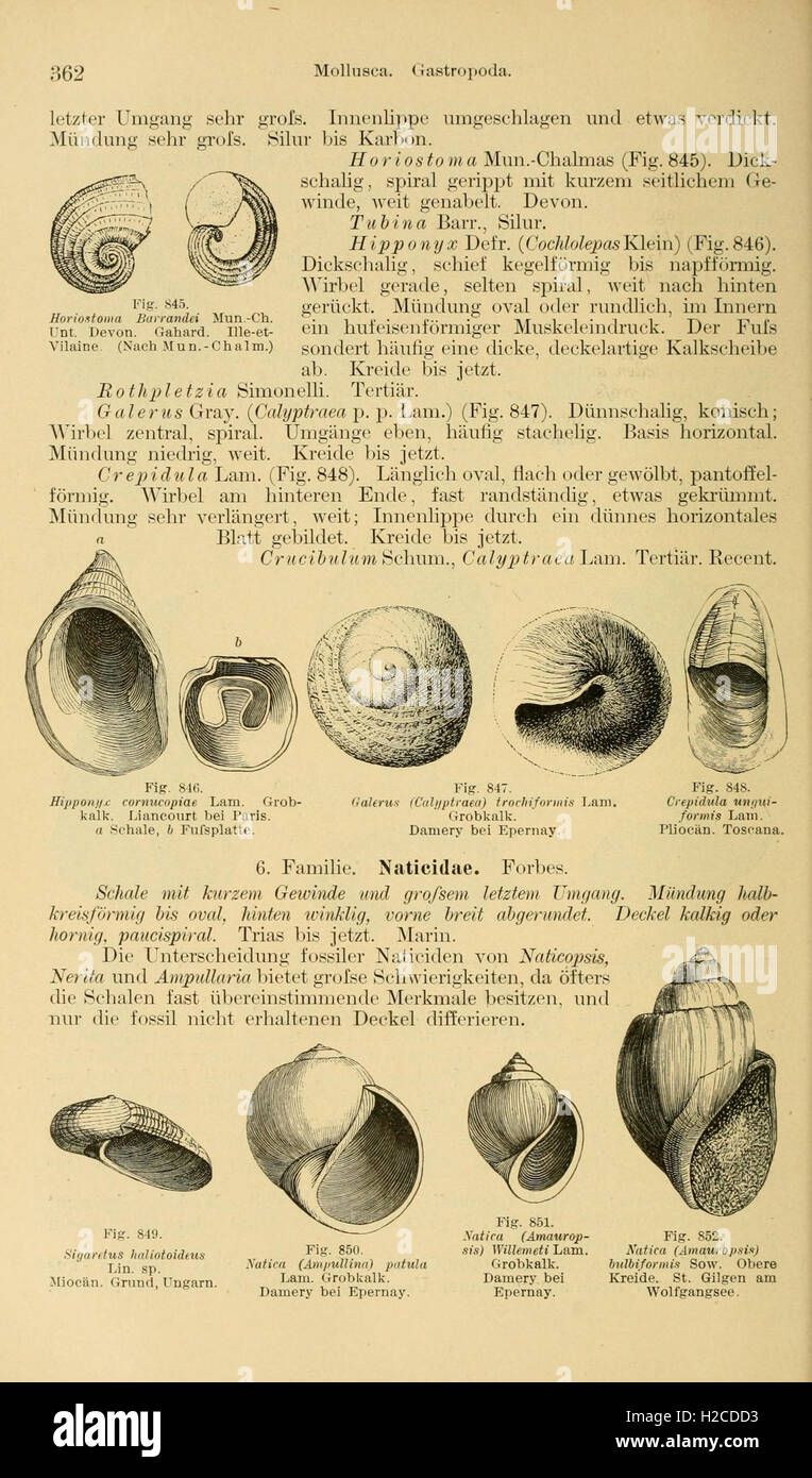 This text provides an introduction to paleontology, covering the ...