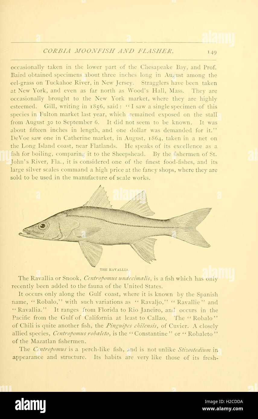 This work features American fish species, with a particular focus on ...