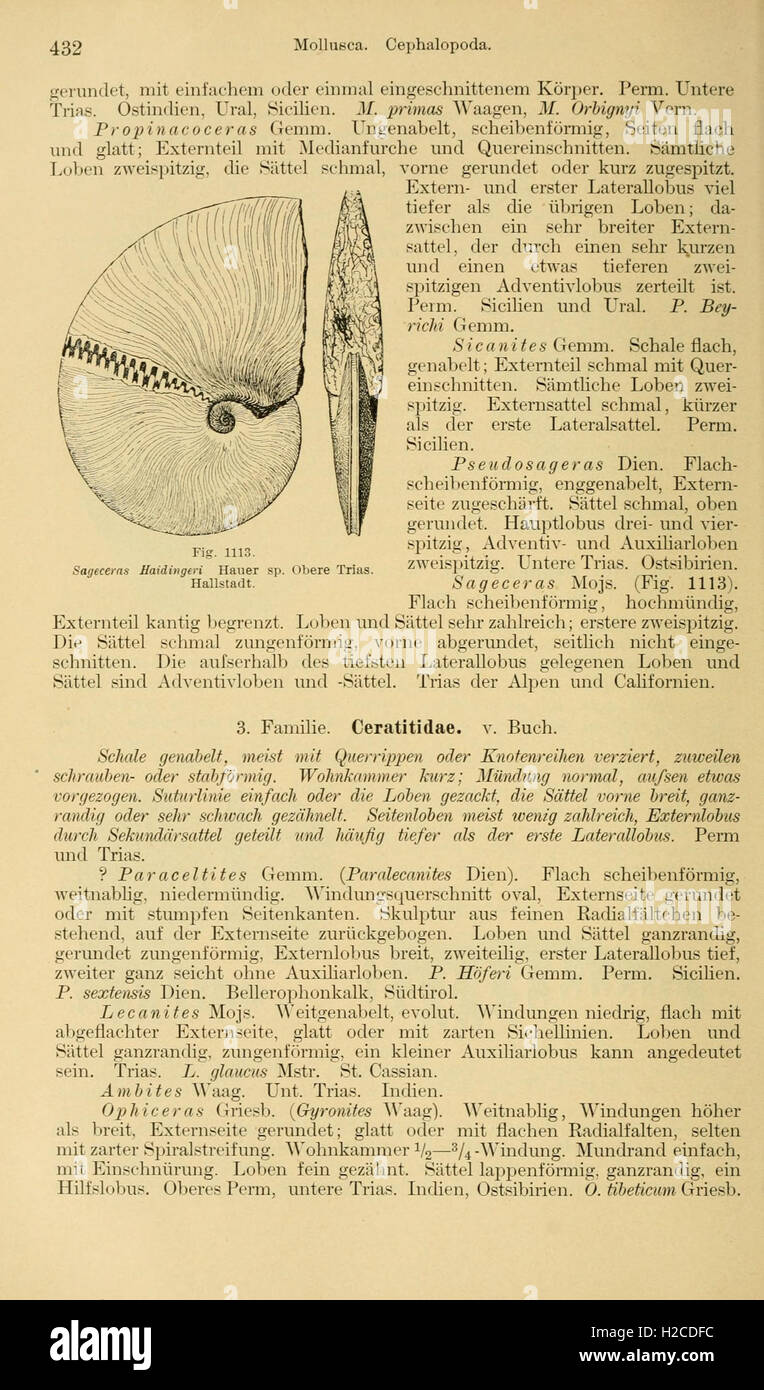 This text provides an introduction to paleontology, focusing on the ...