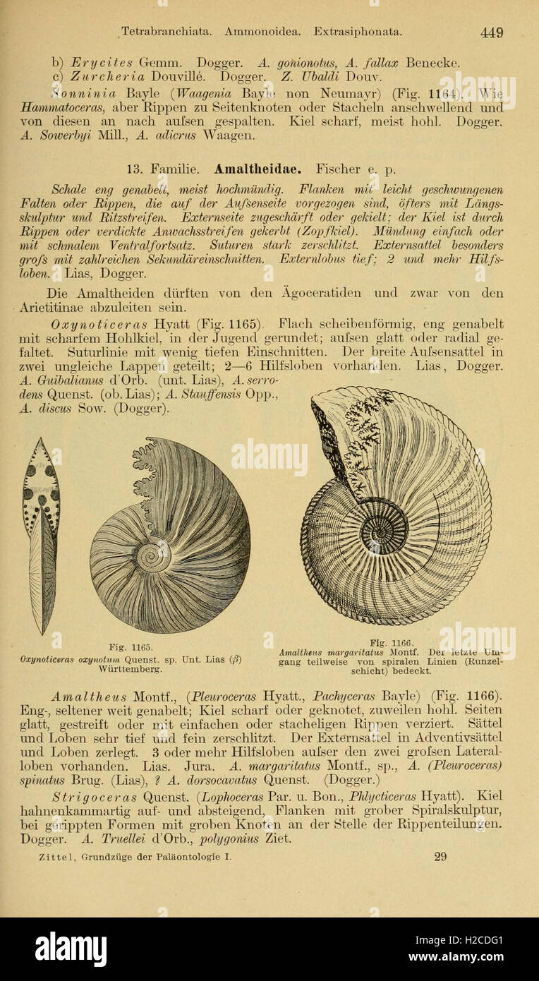 A textbook on paleontology, covering the fundamental principles of the ...