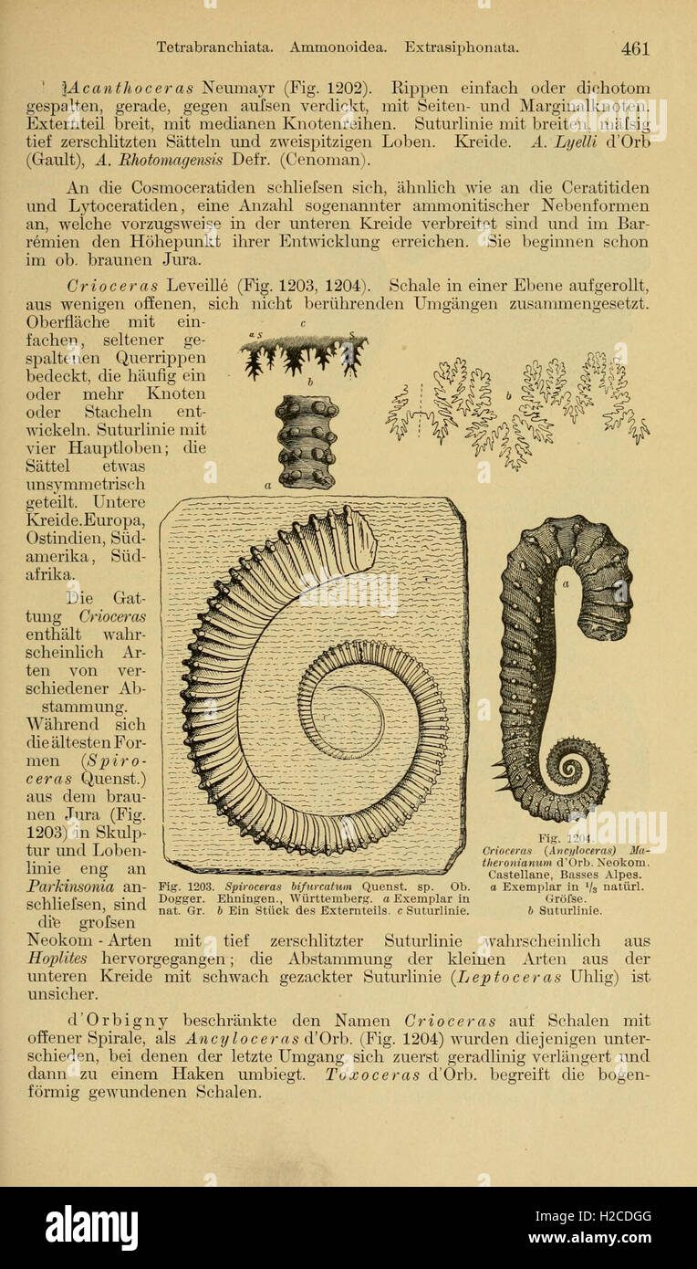 A foundational text on paleontology, detailing the principles of fossil ...