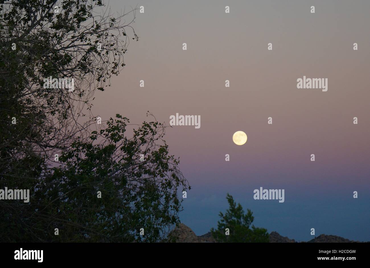 Full Moon in the sky. Photographed in the Mojave Desert, California ...