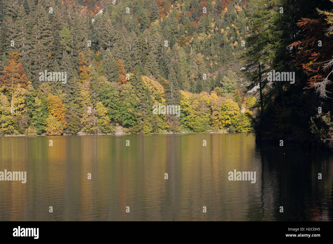 Lake in autumn with colorful reflection Stock Photo - Alamy