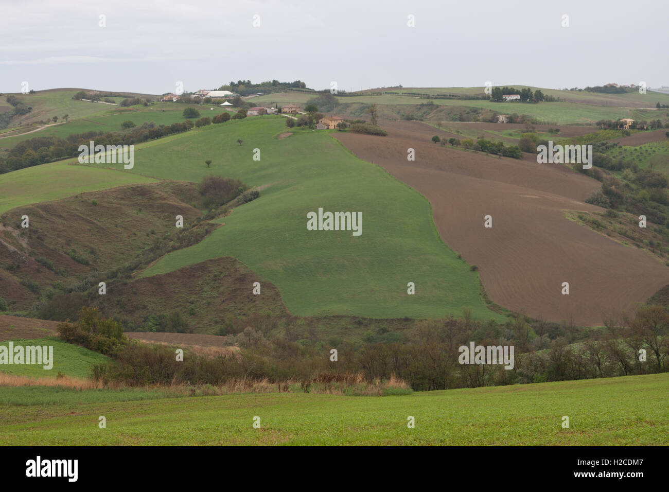 Marche Italy Hill landscape Stock Photo - Alamy
