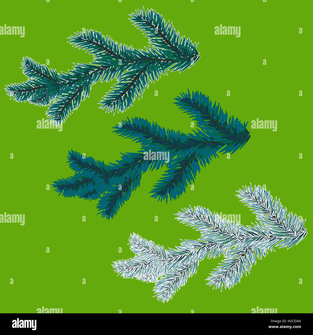 A set of blue spruce branches. Christmas tree - a symbol. The branches ...