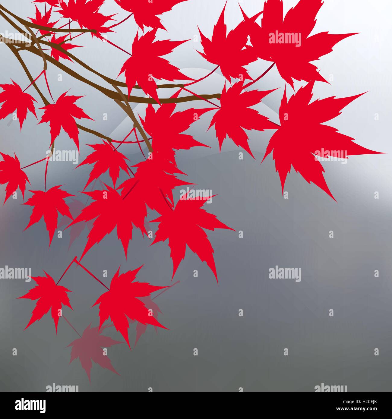 Japanese Maple Tree Silhouette