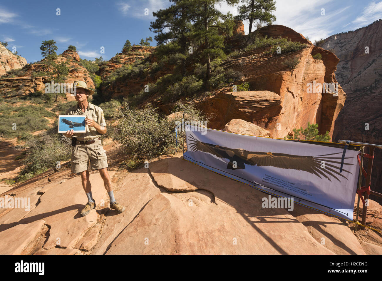 Utah, Zion National Park, Ranger talk Stock Photo - Alamy