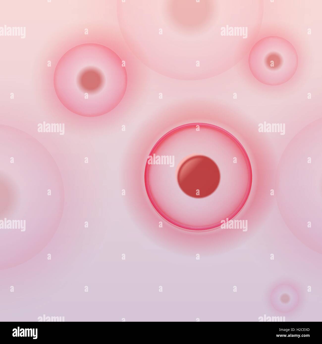 Cells dividing hi-res stock photography and images - Alamy