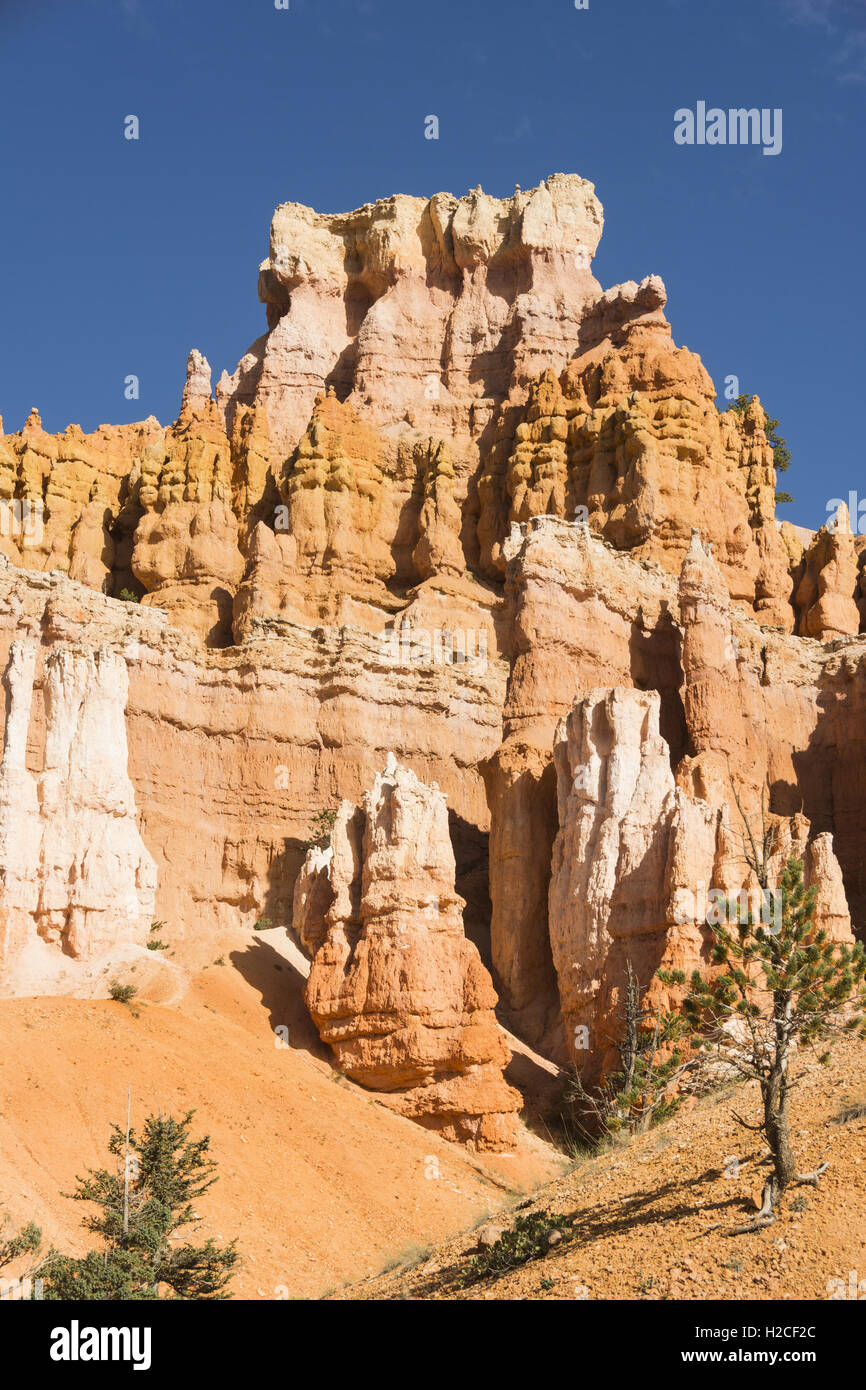 Utah, Bryce Canyon National Park, Bryce Amphitheater, landscape below ...