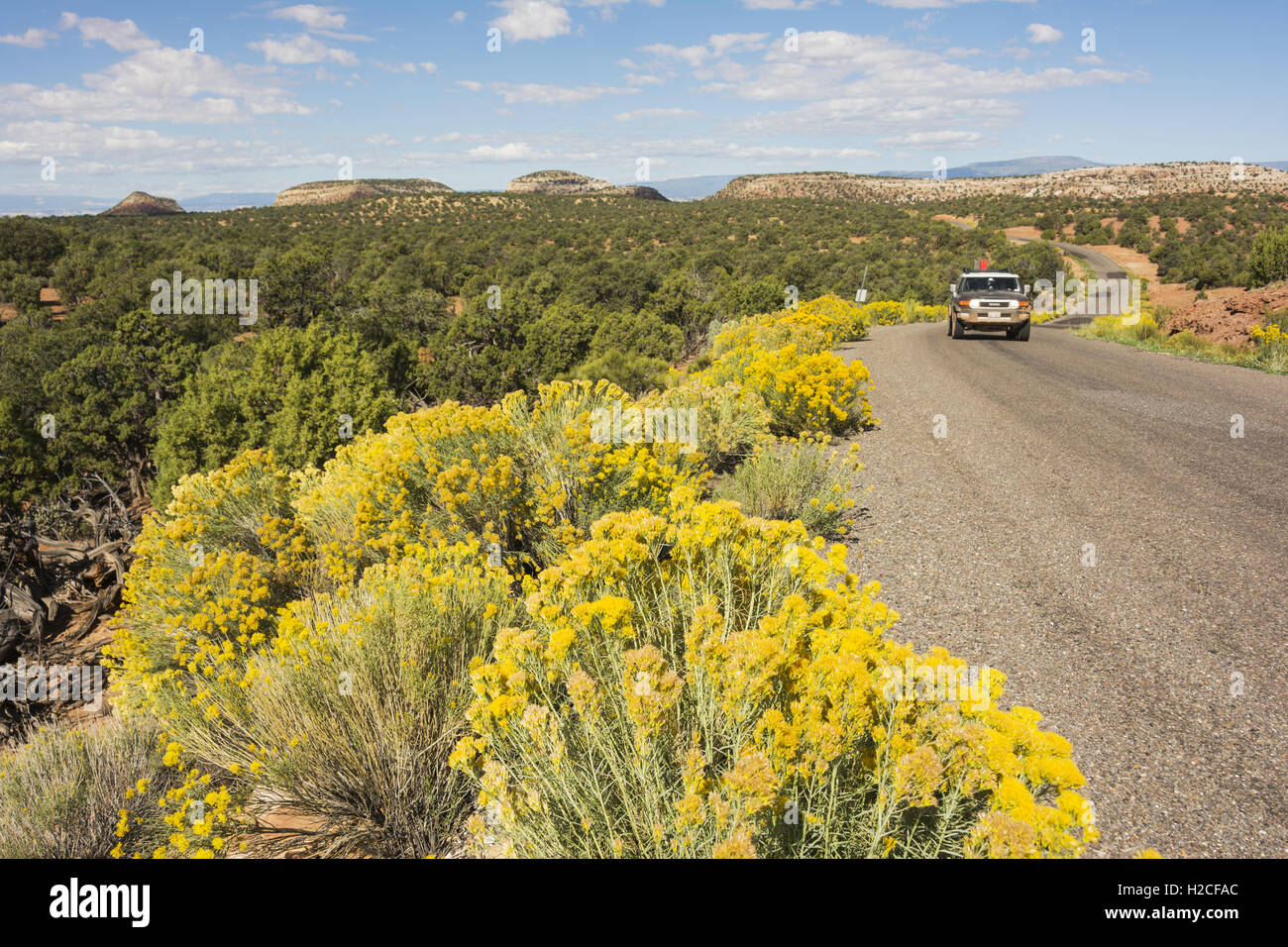 Utah, Grand Staircase-Escalante National Monument, Burr Trail Scenic ...