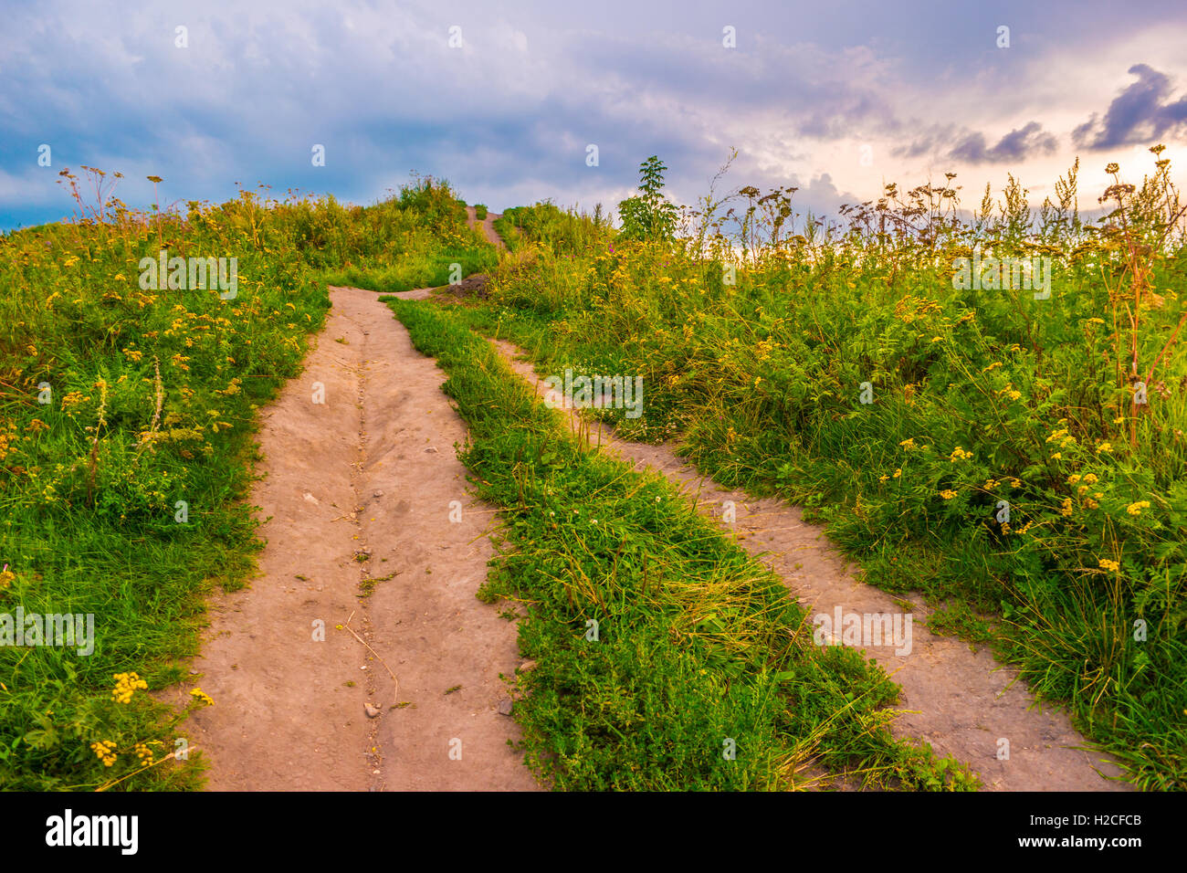 Pathway on a hill with wildflowers Stock Photo - Alamy