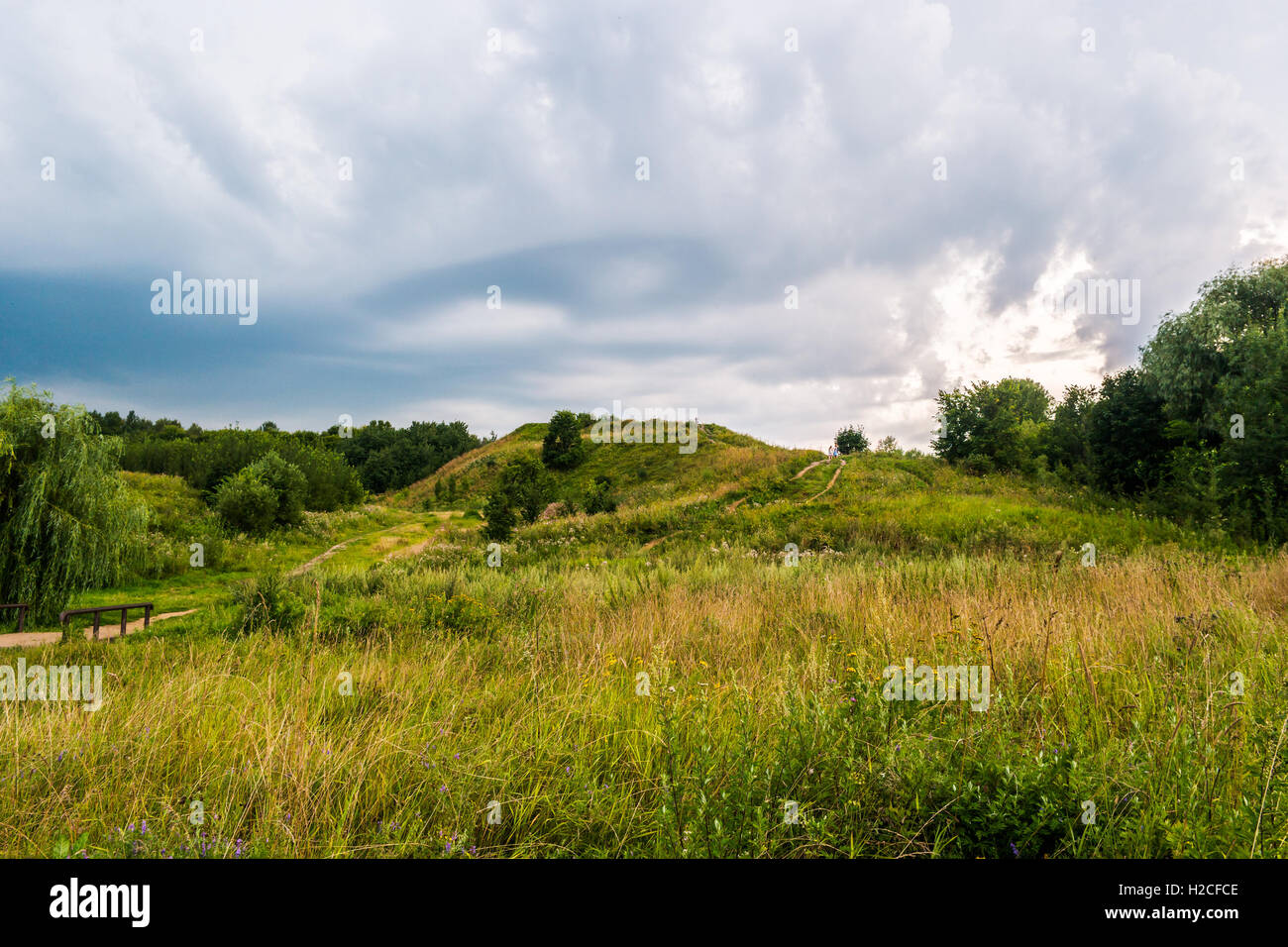 Pathway on a hill with wildflowers Stock Photo - Alamy