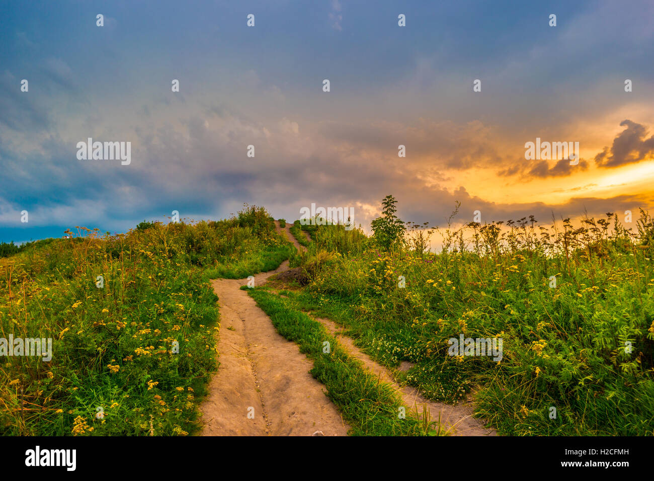 Pathway on a hill with wildflowers Stock Photo - Alamy