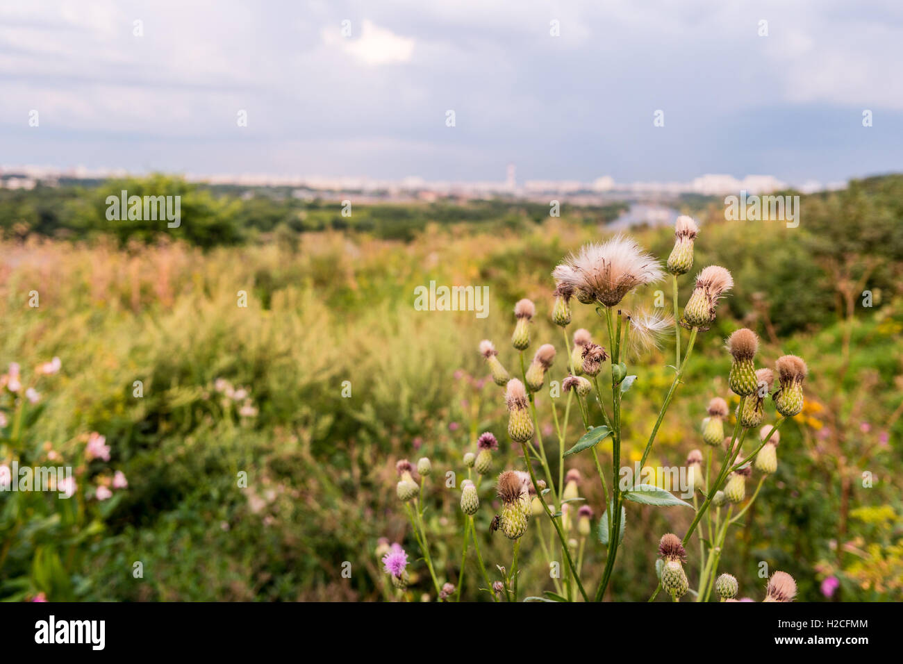 Beautiful natural landscape at sunset Stock Photo - Alamy