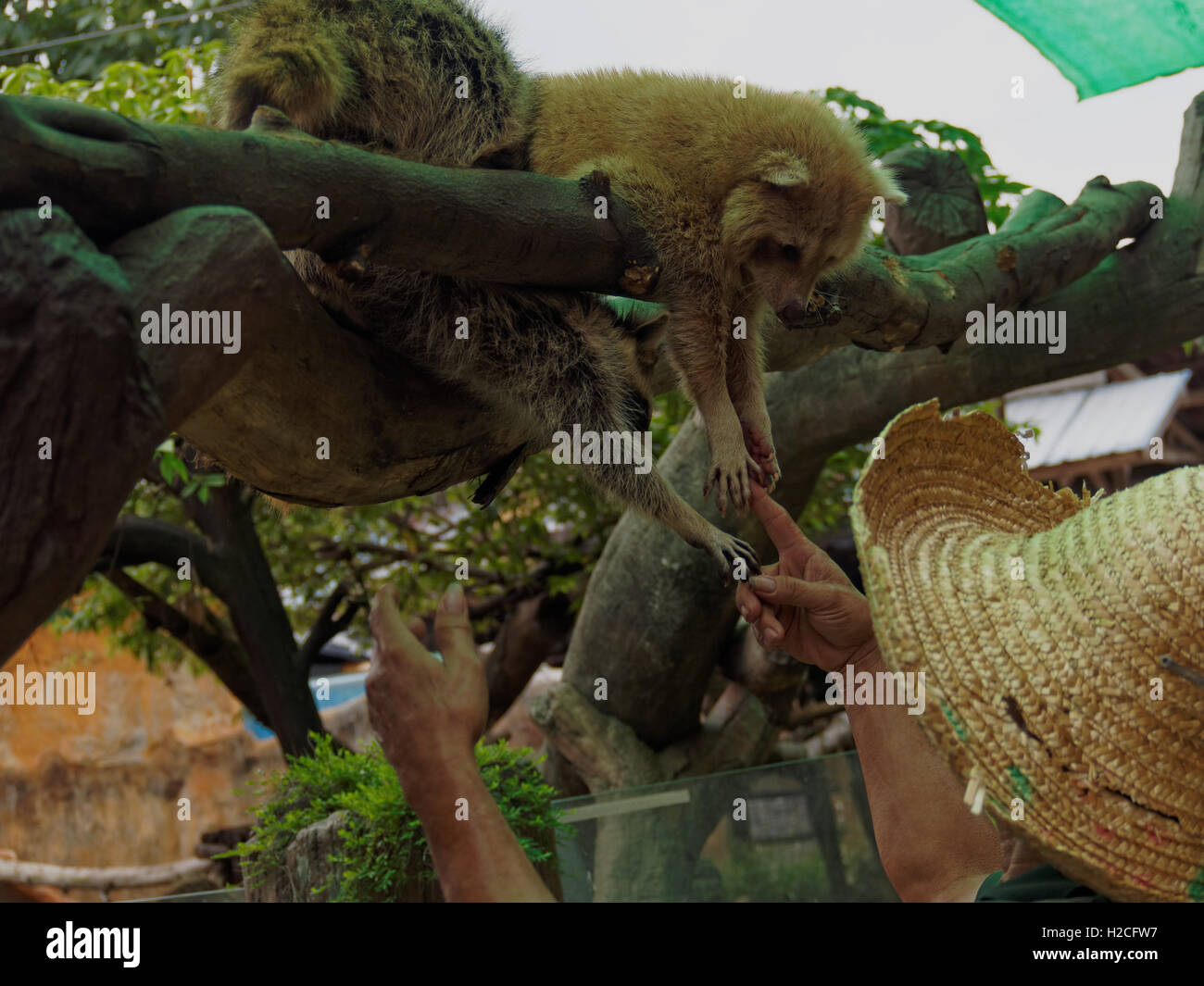 Reaching out hi-res stock photography and images - Alamy