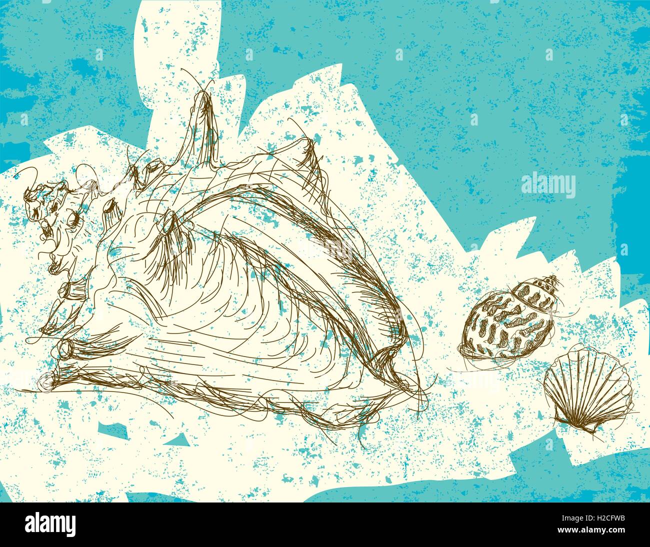 Conch shell drawing hi-res stock photography and images - Alamy