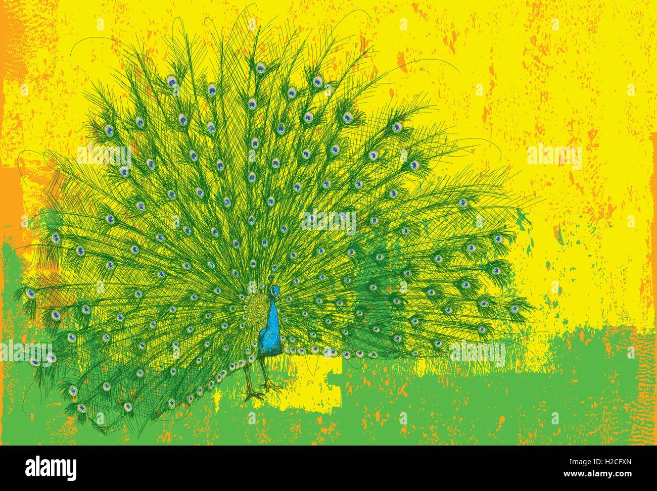 Peacock Sketchy peacock over an abstract background Stock Vector Image ...