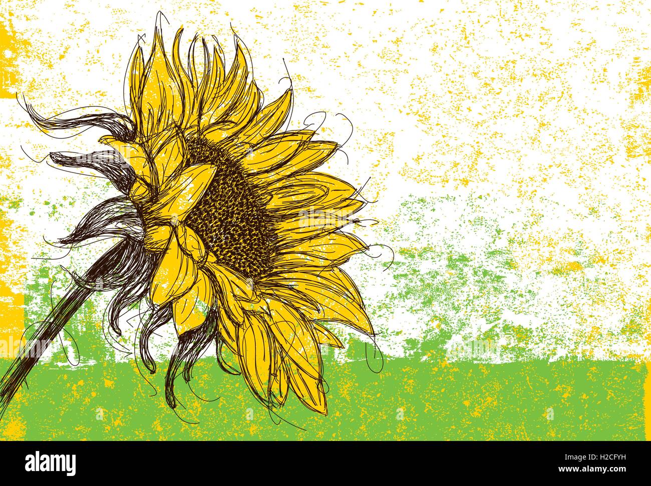 Sunflower vectors hi-res stock photography and images - Alamy