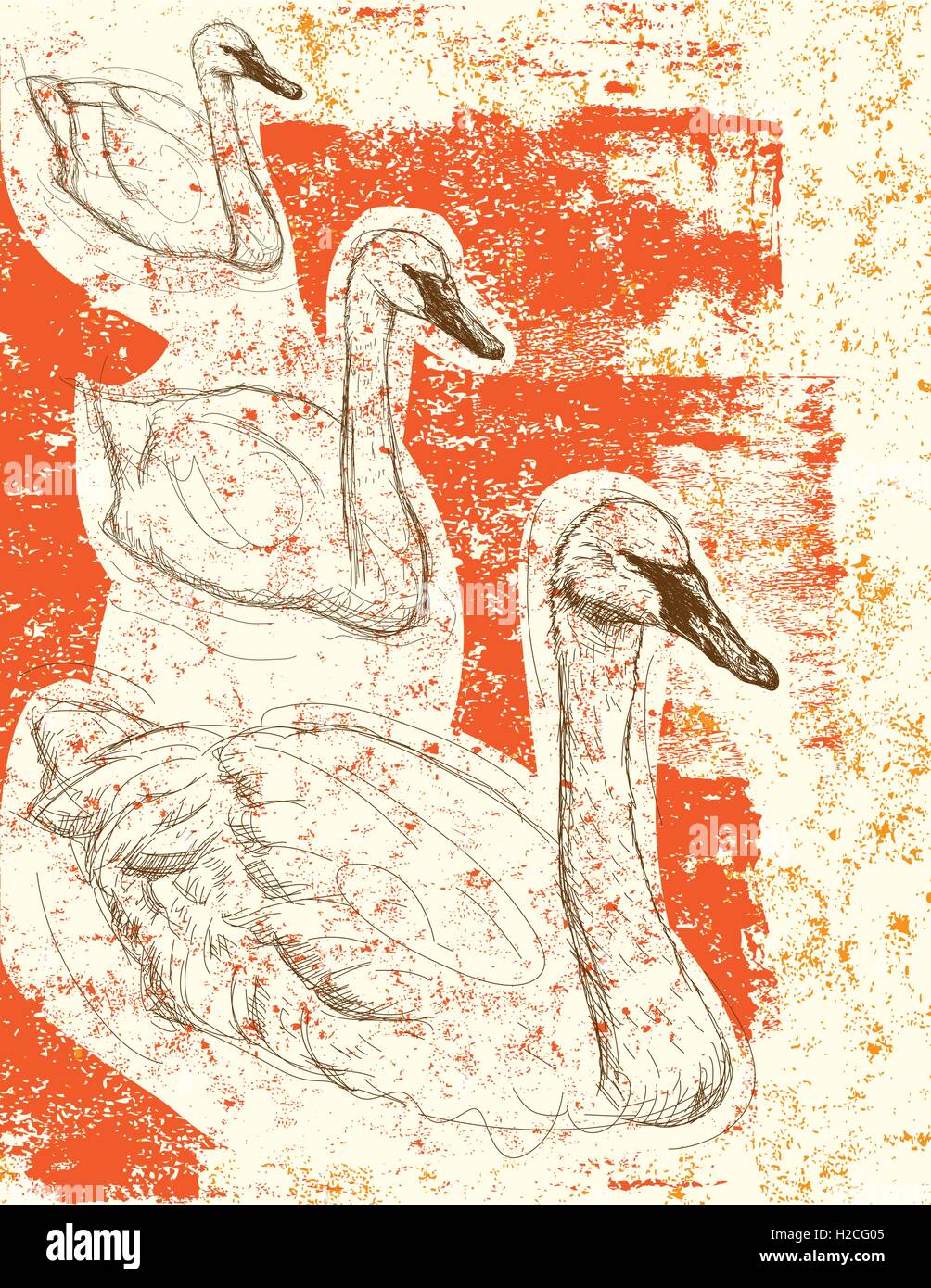 Bird line drawing hi-res stock photography and images - Alamy