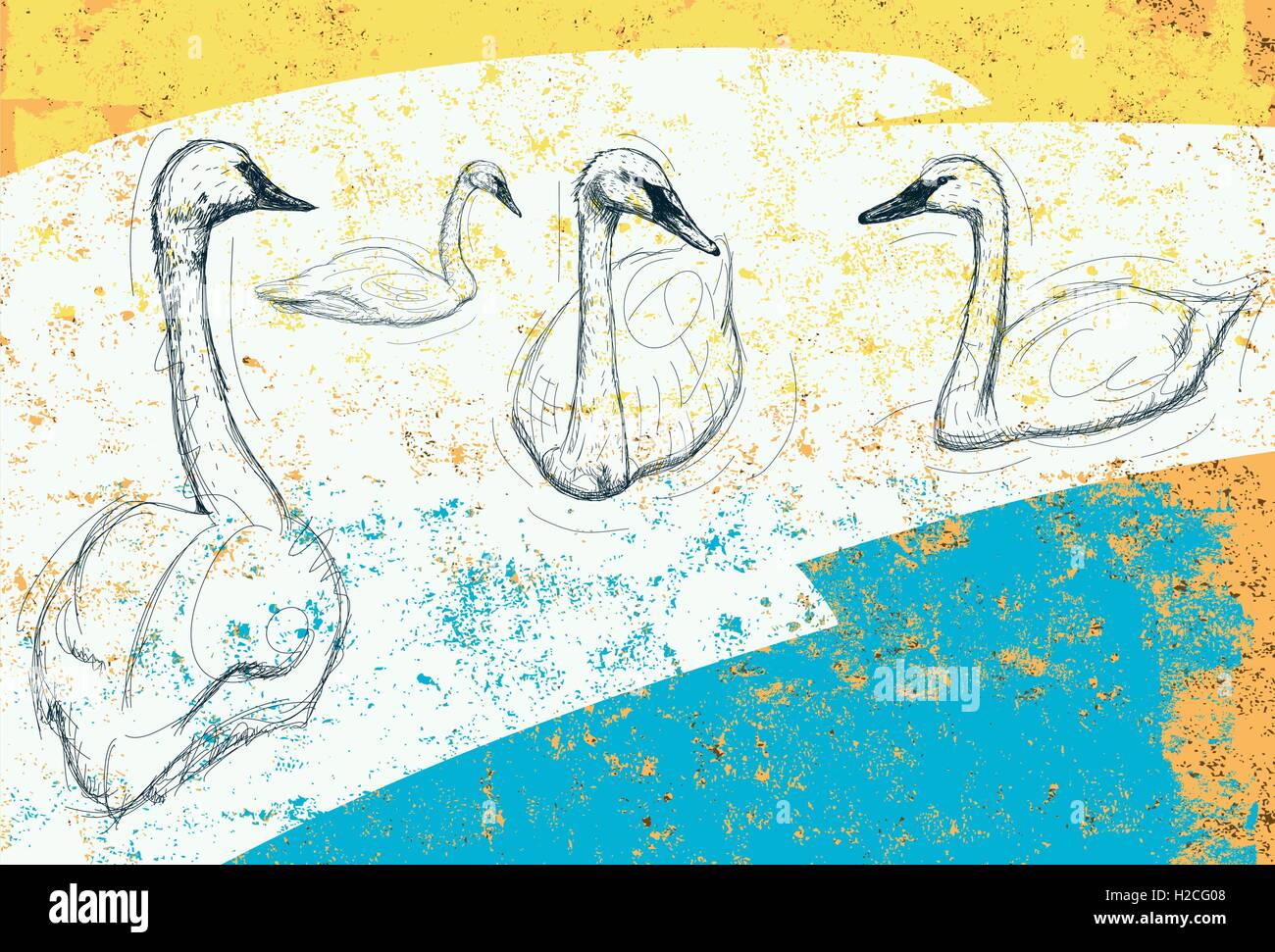 Swan illustration line art hi-res stock photography and images - Alamy
